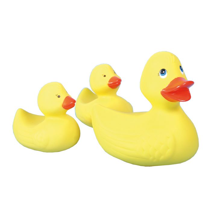 Badeend familie